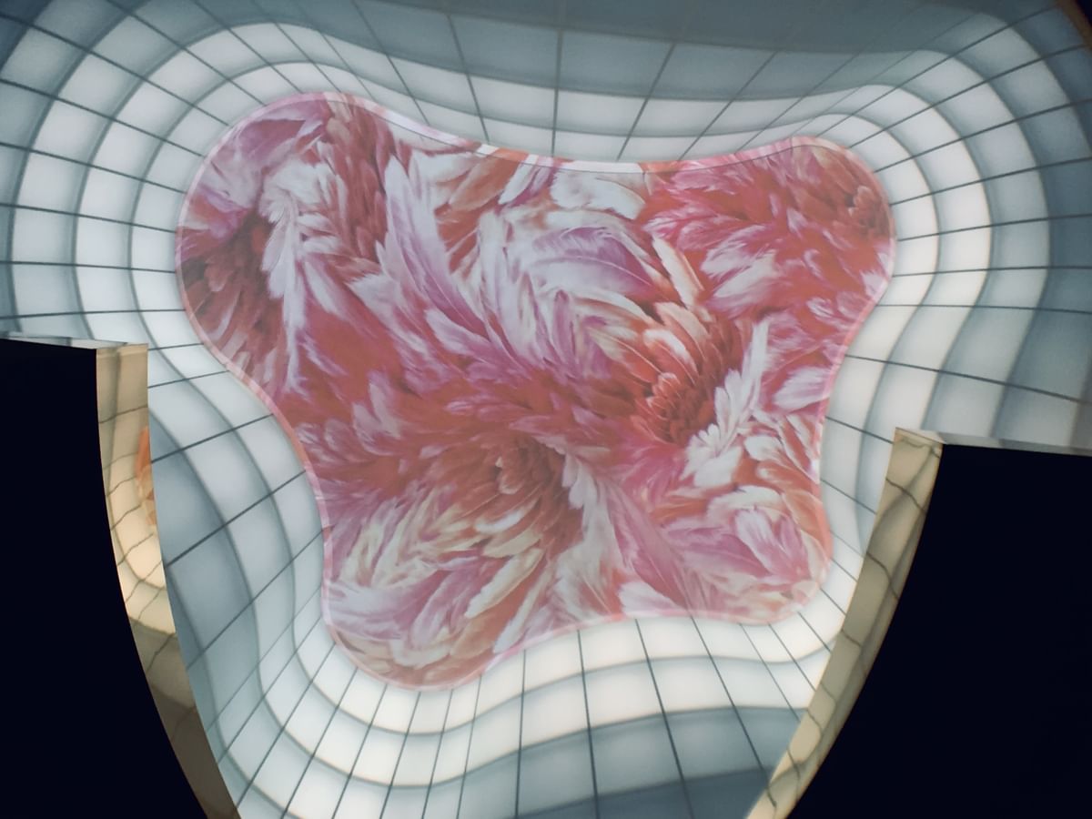 Roberto Cavalli - Skins Experience | MONOGRID