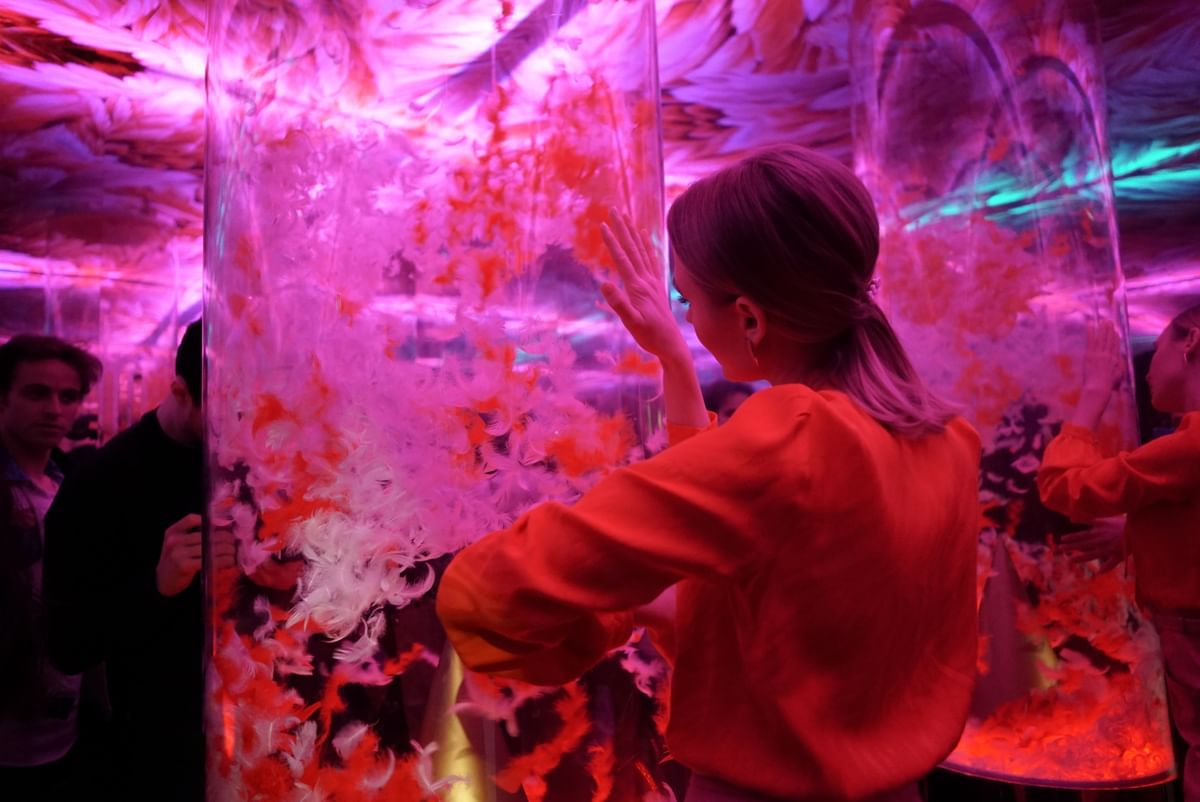 Roberto Cavalli - Skins Experience | MONOGRID